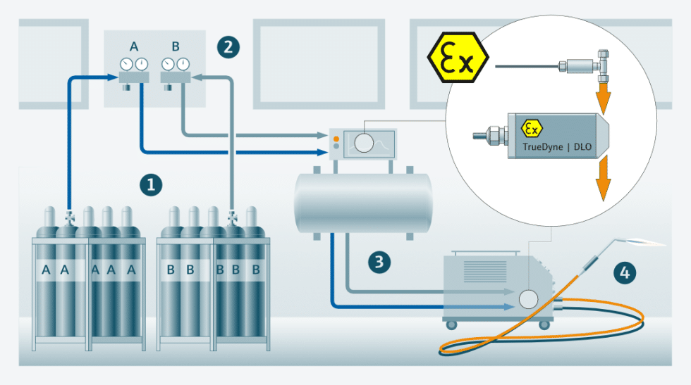 Gases DLO-M2_ex | TrueDyne Sensors AG